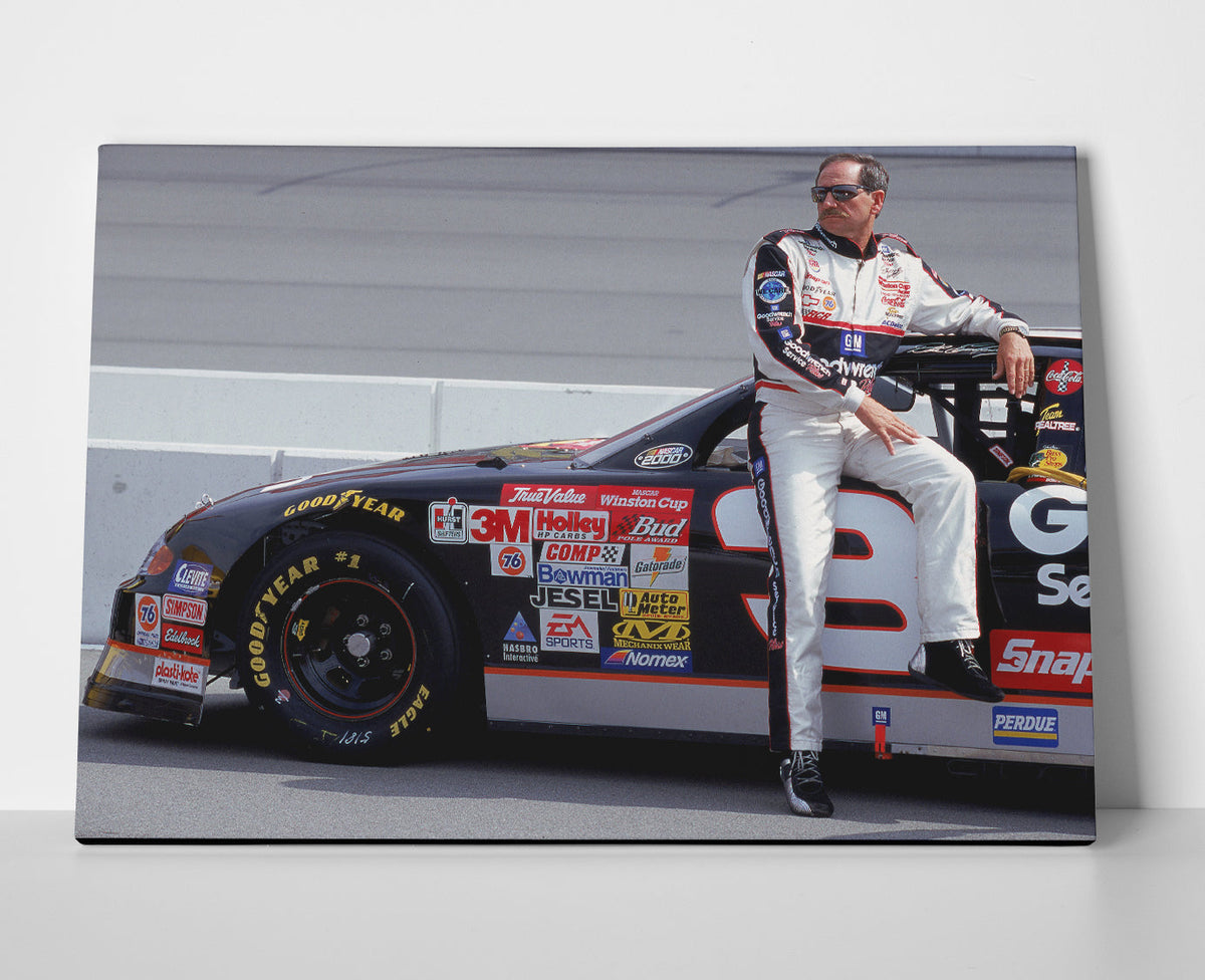 NASCAR Posters & Canvas Wall Art | PlayerSeason – Player Season
